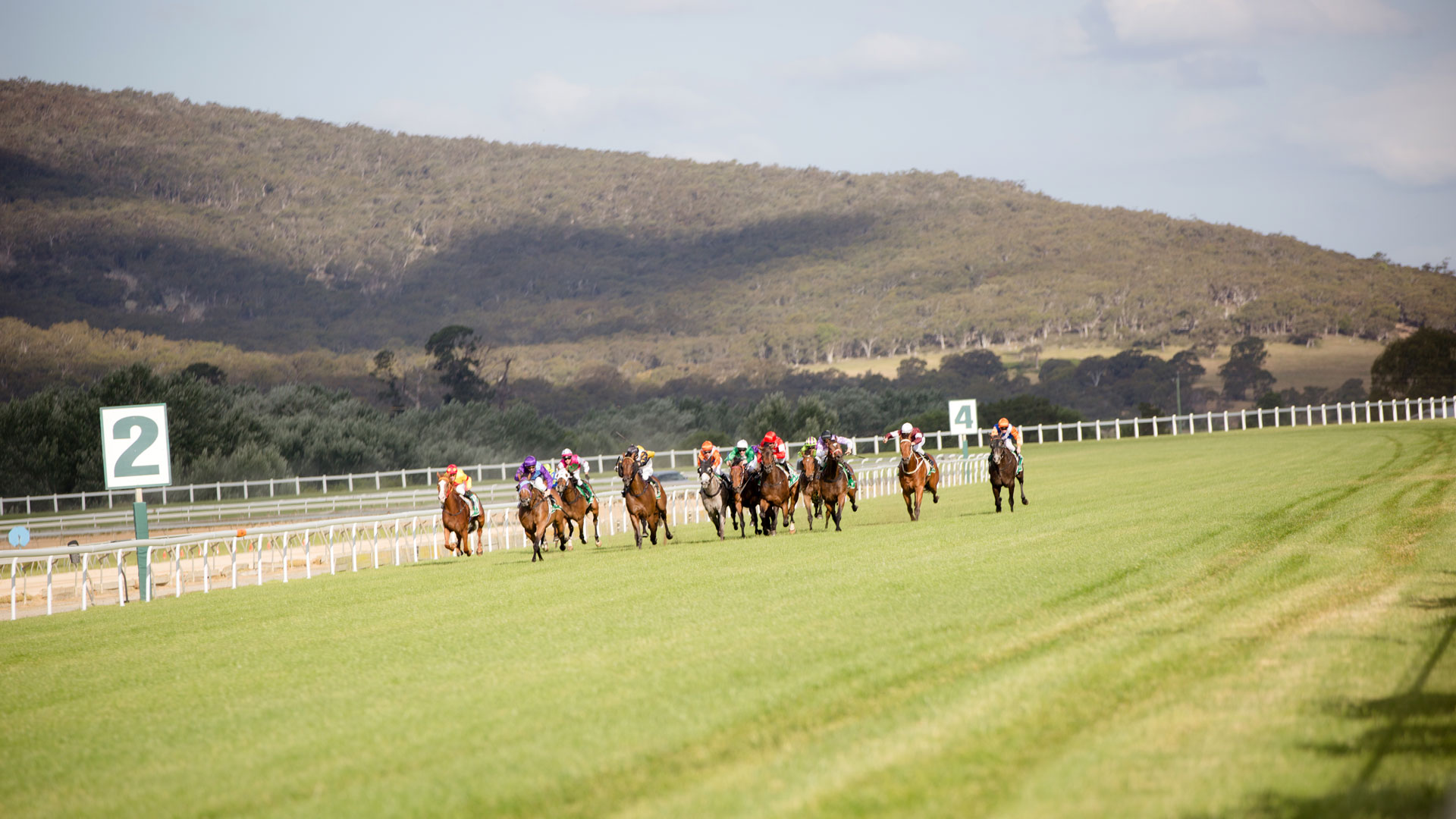 Goulburn Race Club